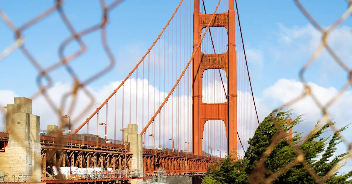 When Did The Golden State Warriors Move To San Francisco? - Tattooed Martha