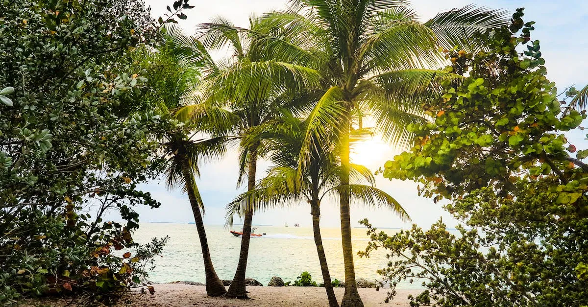 Is Florida'S Climate Tropical Or Subtropical? Examining The Nuances