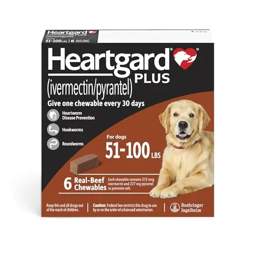Best Heartworm Medicine for Dogs - 2025 Reviews