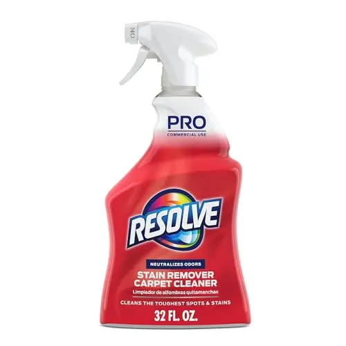 5 Best Stain Removers for Carpet 2025 - Tested & Reviewed - Eye And Pen