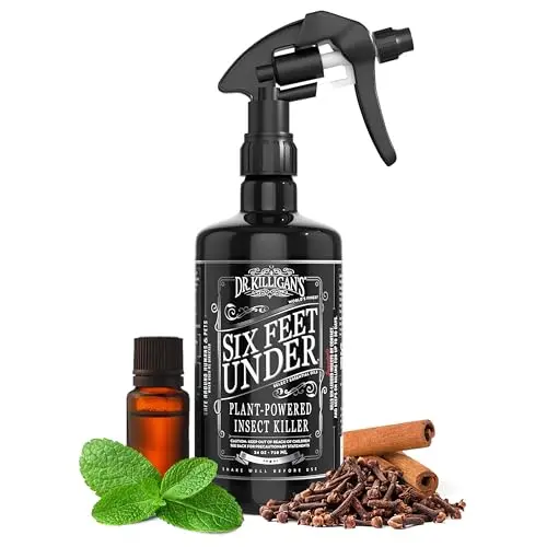 5 Best Spider Killer Sprays for Indoors 2025 - Tested & Reviewed - Eye ...
