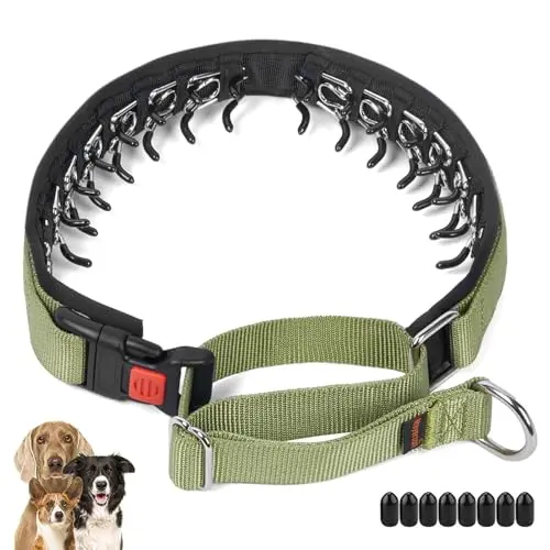 5 Best Prong Collars for Dogs 2025 - Tested & Reviewed - Tattooed Martha