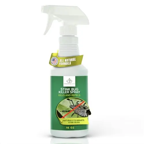 5 Best Spider Killer Sprays for Indoors 2025 - Tested & Reviewed - Eye ...